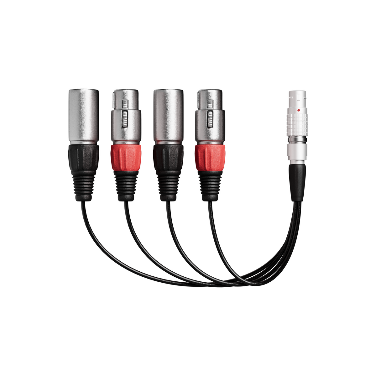 Atomos XLR Breakout Cable (Input/Output) — Lorne Lapham Sales and Rentals